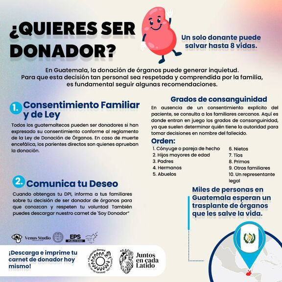Contenido - Fundación Donaré