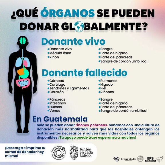 Contenido - Fundación Donaré